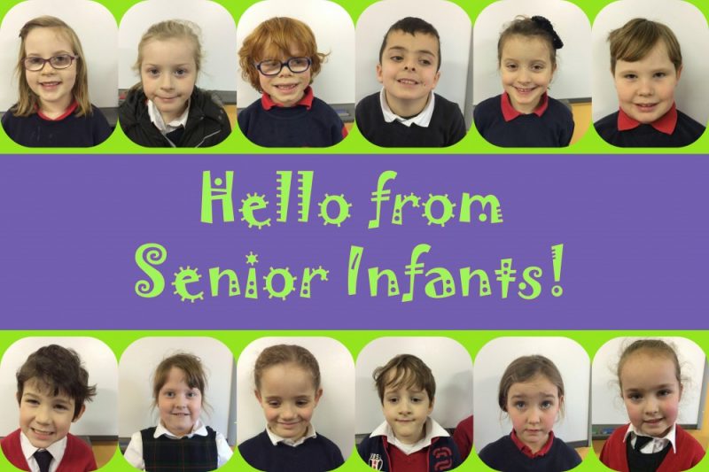 Senior Infants Collage – Killeen National School